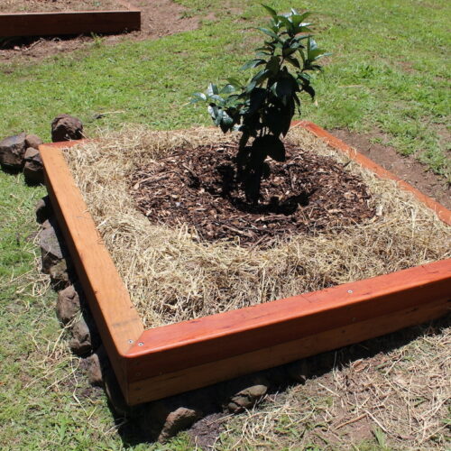 PREMIUM Hardwood Timber Tree Planter/ Sandpit 1.5m² - Bedurveg